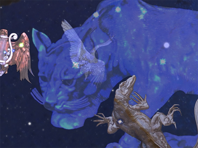 Portfolio - Bianca Romana